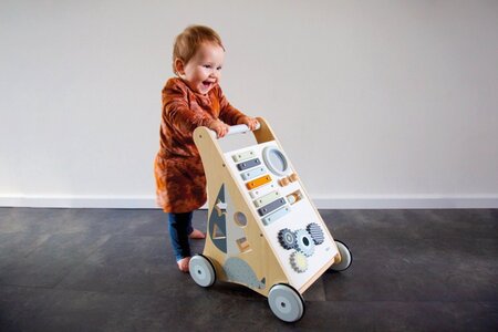 Brio loopwagen: De beste van 2025! [Lagere Prijs]
